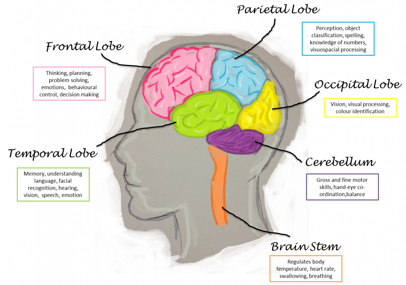 Bedside Brain Imaging A New Era In Detecting Brain Injuries